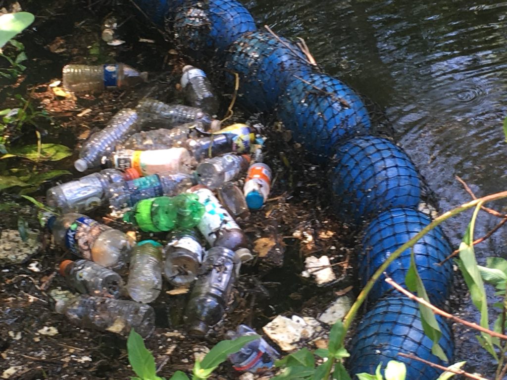 Watergoats gobble up trash in Tampa Bay | Bay Soundings