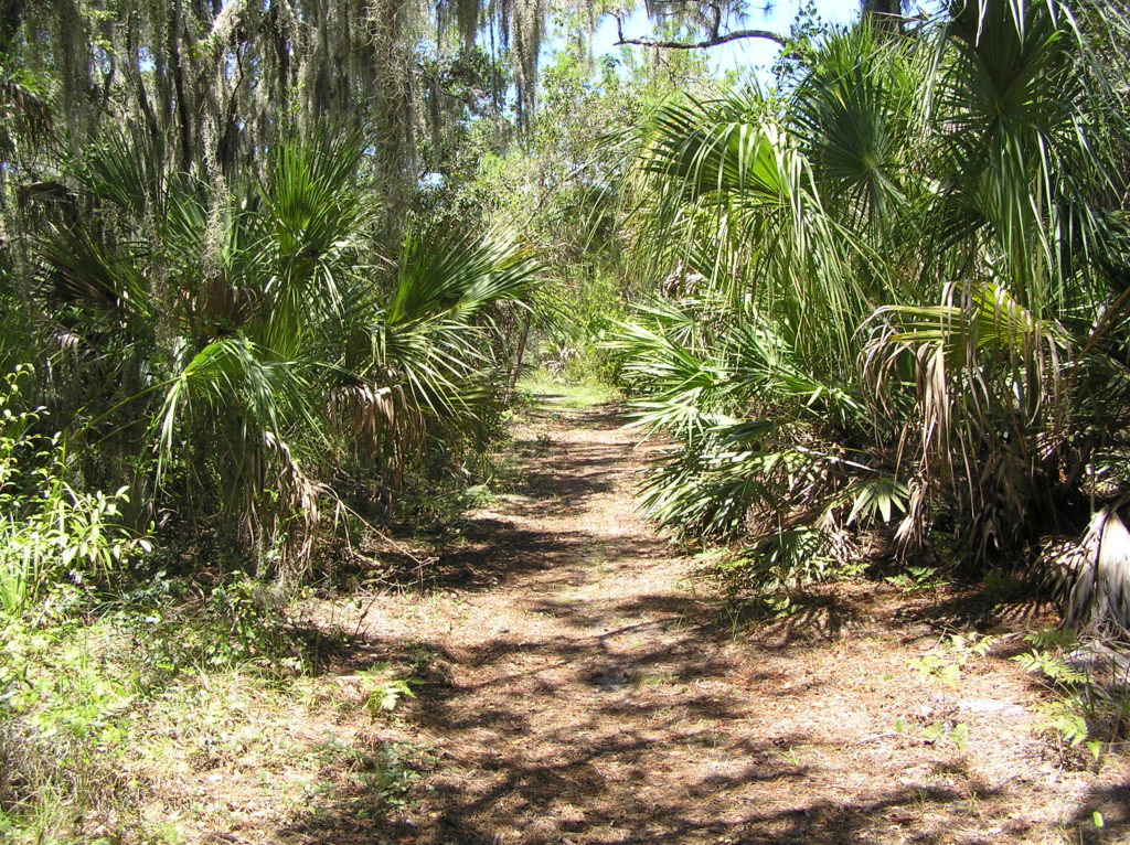 Moving Upstream: Conceptual Plans for 7,300 Acres in the Little Manatee ...