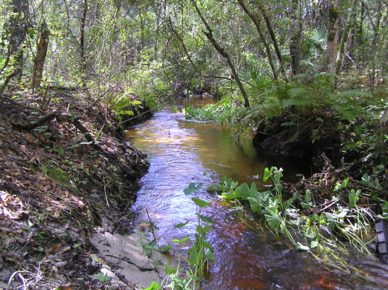 Moving Upstream: Conceptual Plans for 7,300 Acres in the Little Manatee ...
