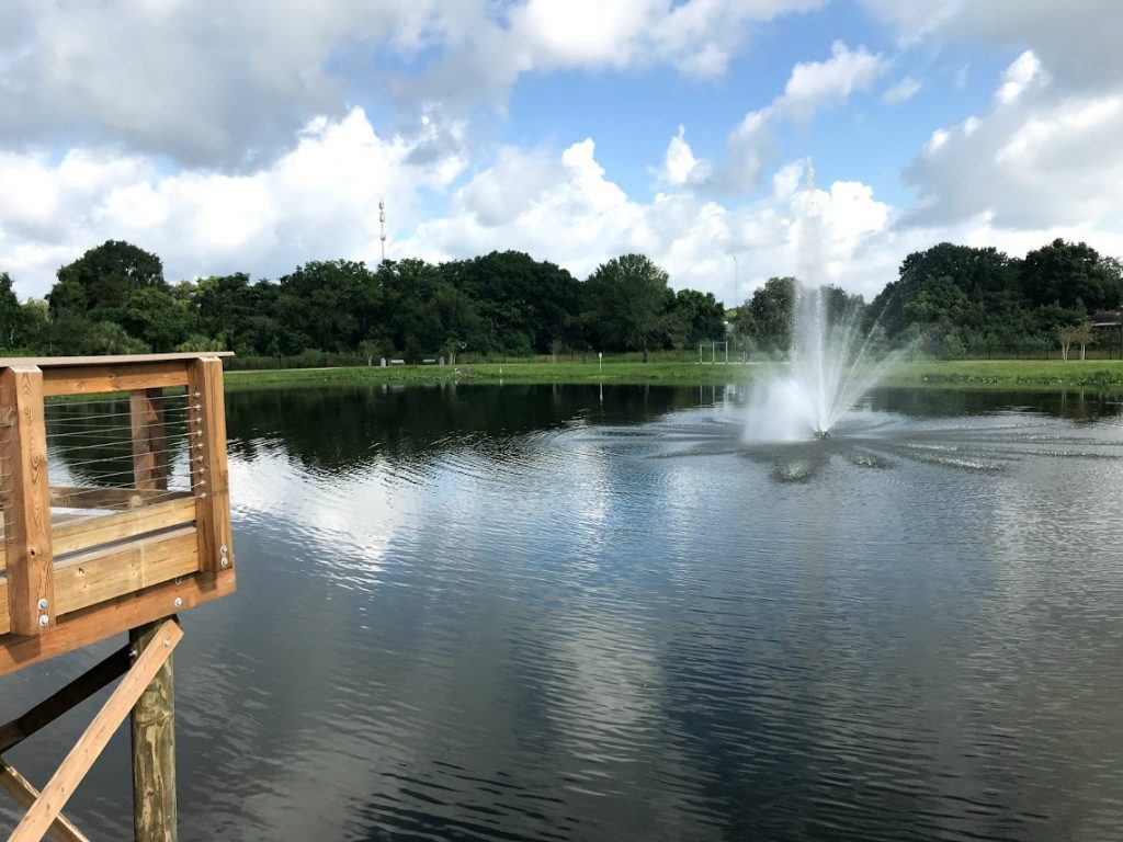 Neighborhood Pond Becomes an Oasis in East Tampa Neighborhood - Bay ...