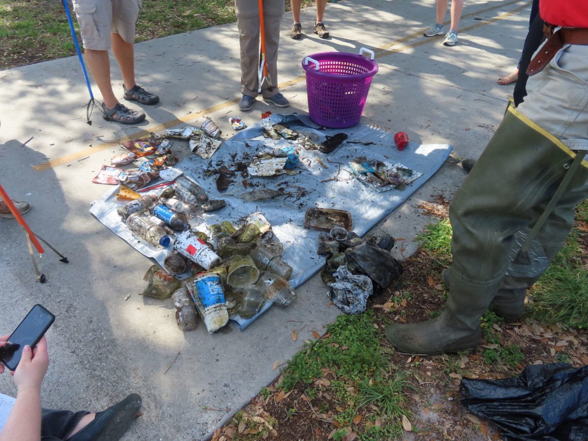 A new way to look at litter - Bay Soundings