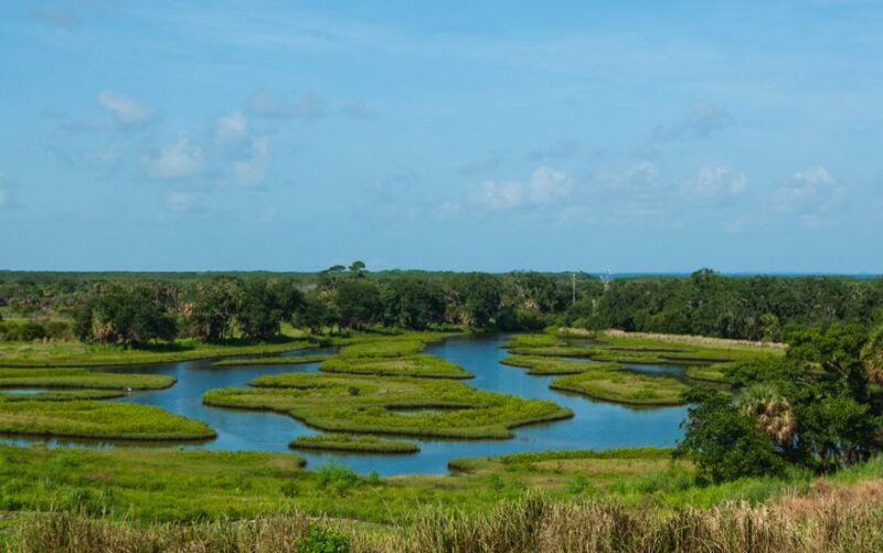Agency on Bay and Coastal Management celebrates 40 years - Bay Soundings