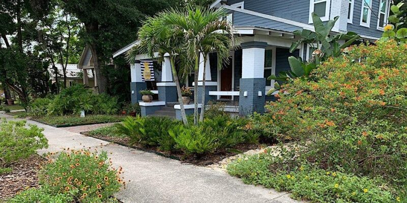 New App Makes Florida-Friendly Landscaping Even Easier - Bay Soundings