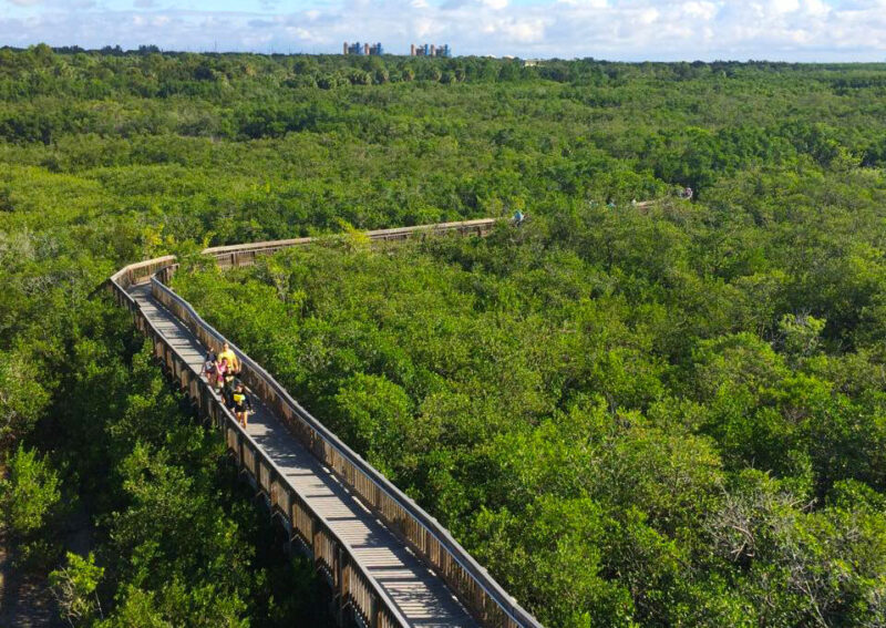 Treasures of Tampa Bay: Weedon Island - Bay Soundings