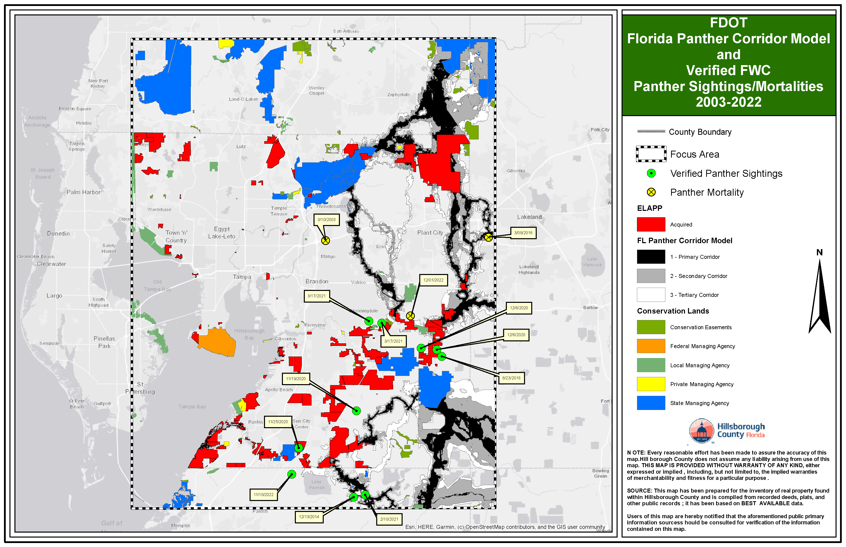 Florida Panthers Confirmed in Hillsborough County - Bay Soundings