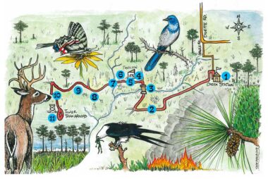 Duette Preserve: 33 square miles of wilderness in a fast-growing region ...